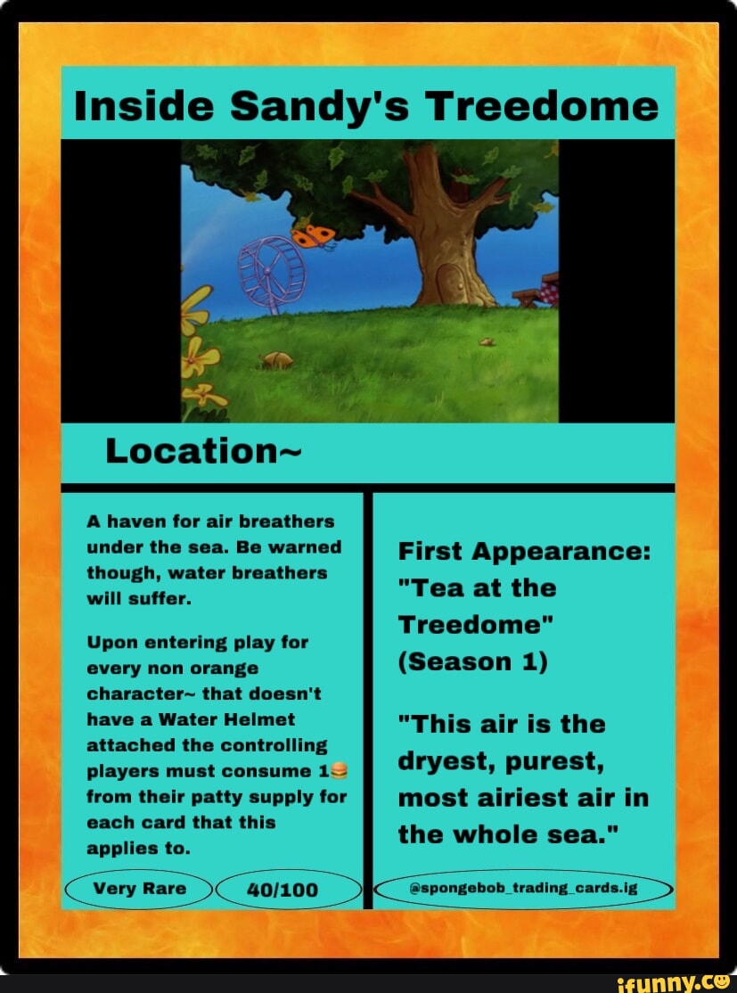 Inside Sandy's Treedome Location~ A haven for air breathers under the ...