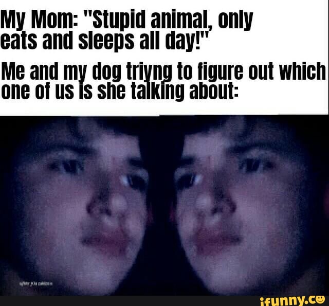 Nothing makes me laugh as consistently as remembering the story of ...