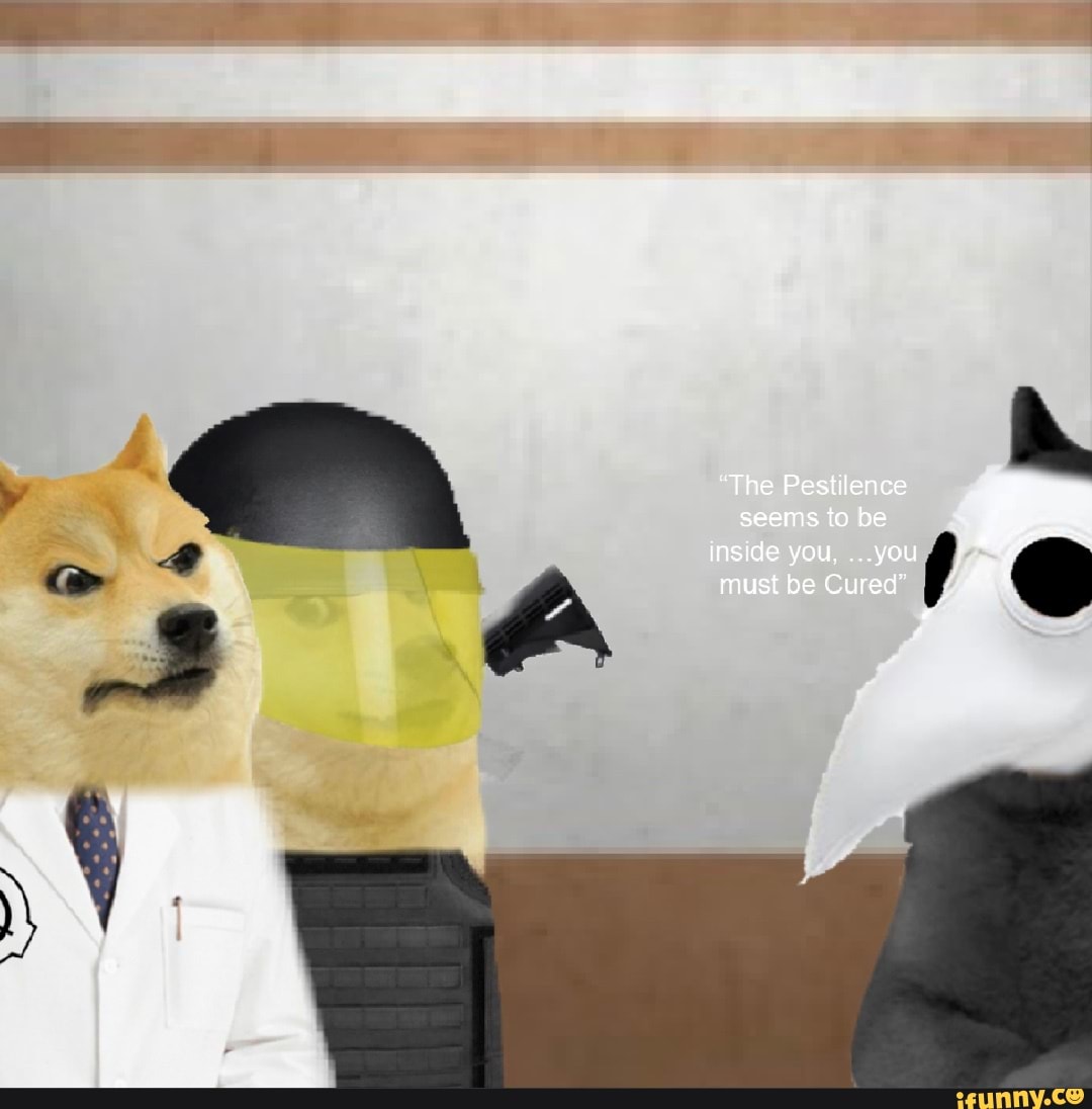 'The Pestilence seems to be inside you, ...you must be Cured" - iFunny