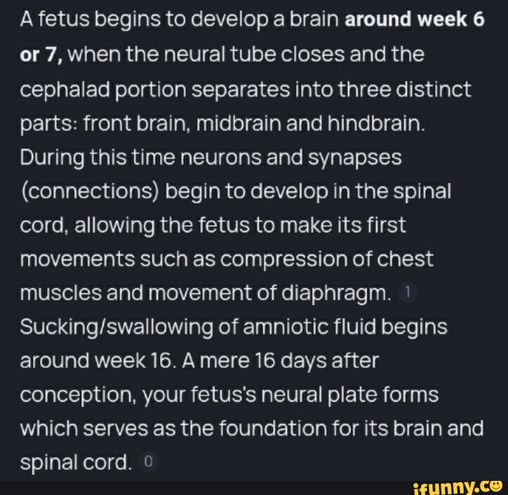 Synapses memes. Best Collection of funny Synapses pictures on iFunny