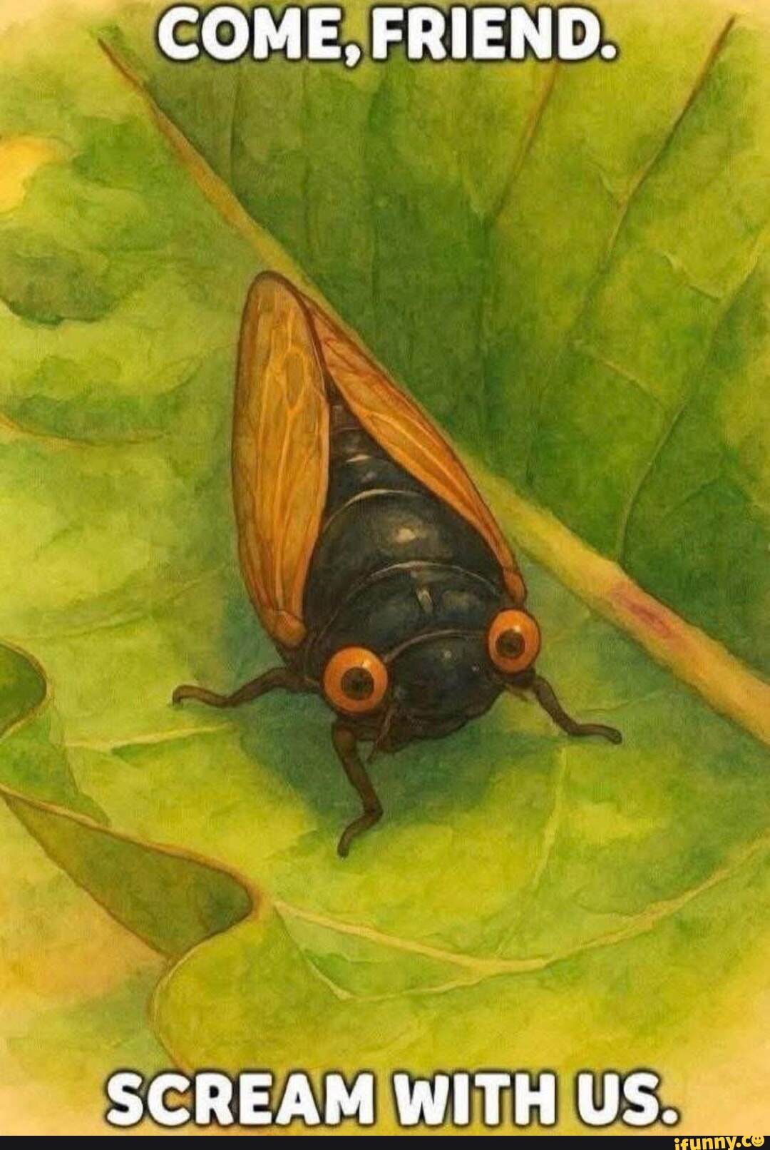 COME, FRIEND. SCREAM WITH US. - iFunny