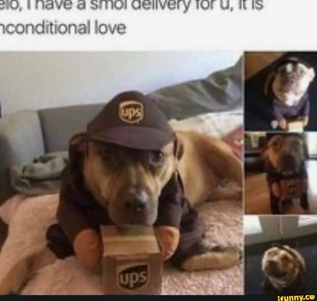 Conditional memes. Best Collection of funny Conditional pictures on iFunny