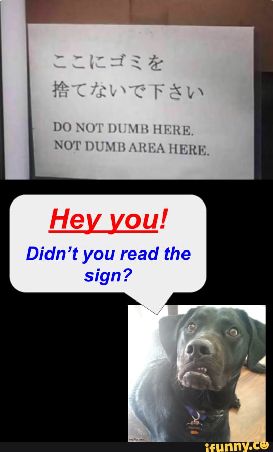 Do not dumb today - DO NOT DUMB HERE. NOT DUMB AREA HERE. Hey you! Didn ...