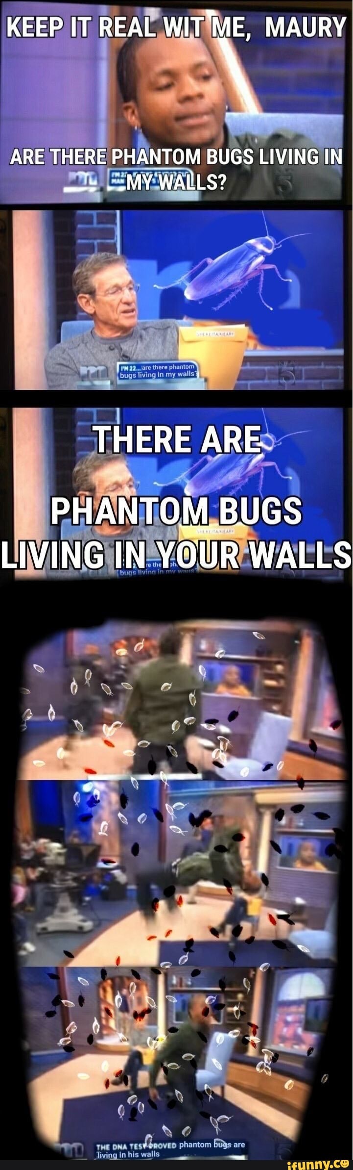 KEEP IT REAL WIT'ME, MAURY ARE THERE PHANTOM BUGS LIVING IN --MY WALLS ...