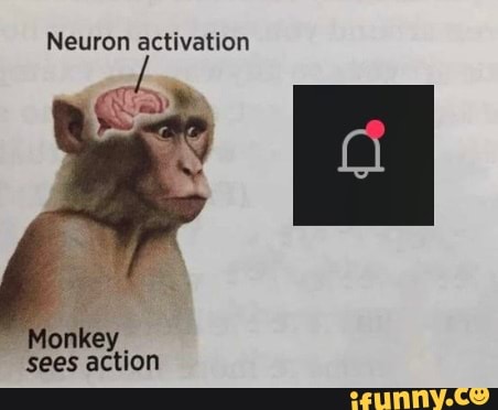 Neuron activation Monkey Sees action - iFunny