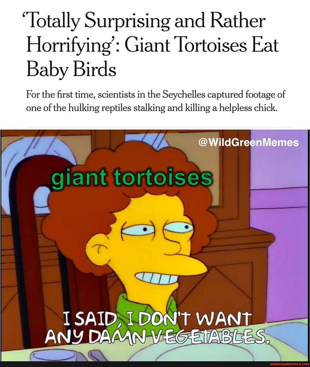 🐢 Meme by @beingevolved - "Totally Surprising and Rather Horrifying ...