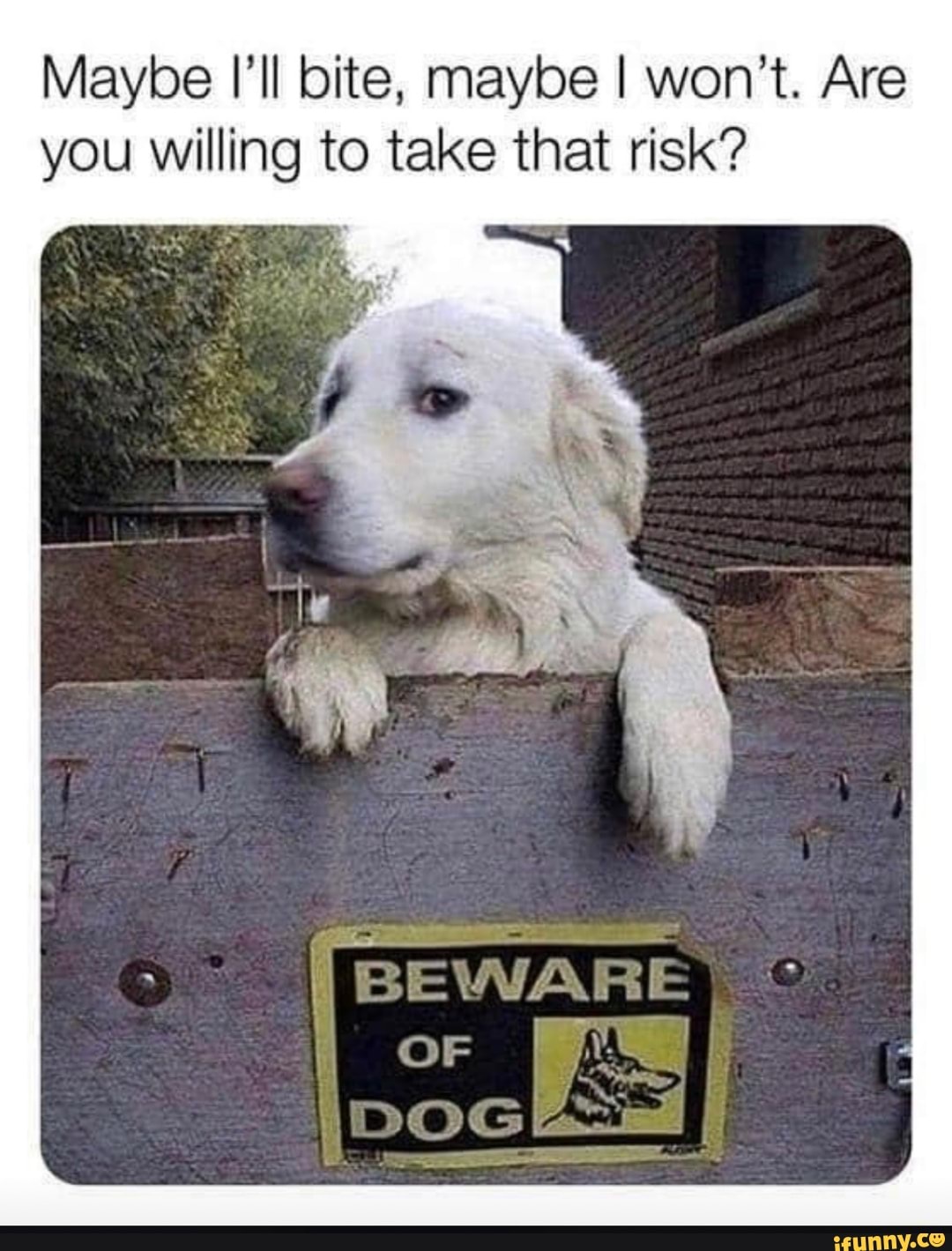 Maybe I'll bite, maybe I won't. Are you willing to take that risk? Tr ...