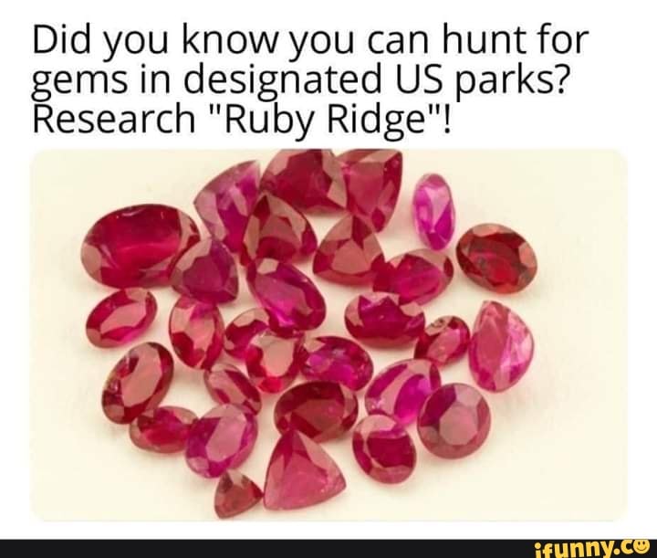 Did you know you can hunt for gems in designated US parks? Research ...