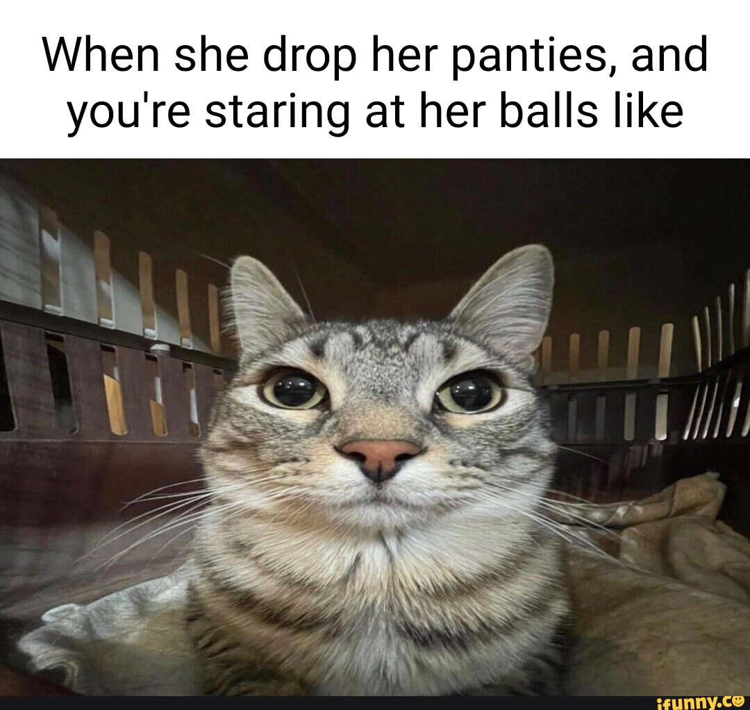 When she drop her panties, and you're staring at her balls like - iFunny