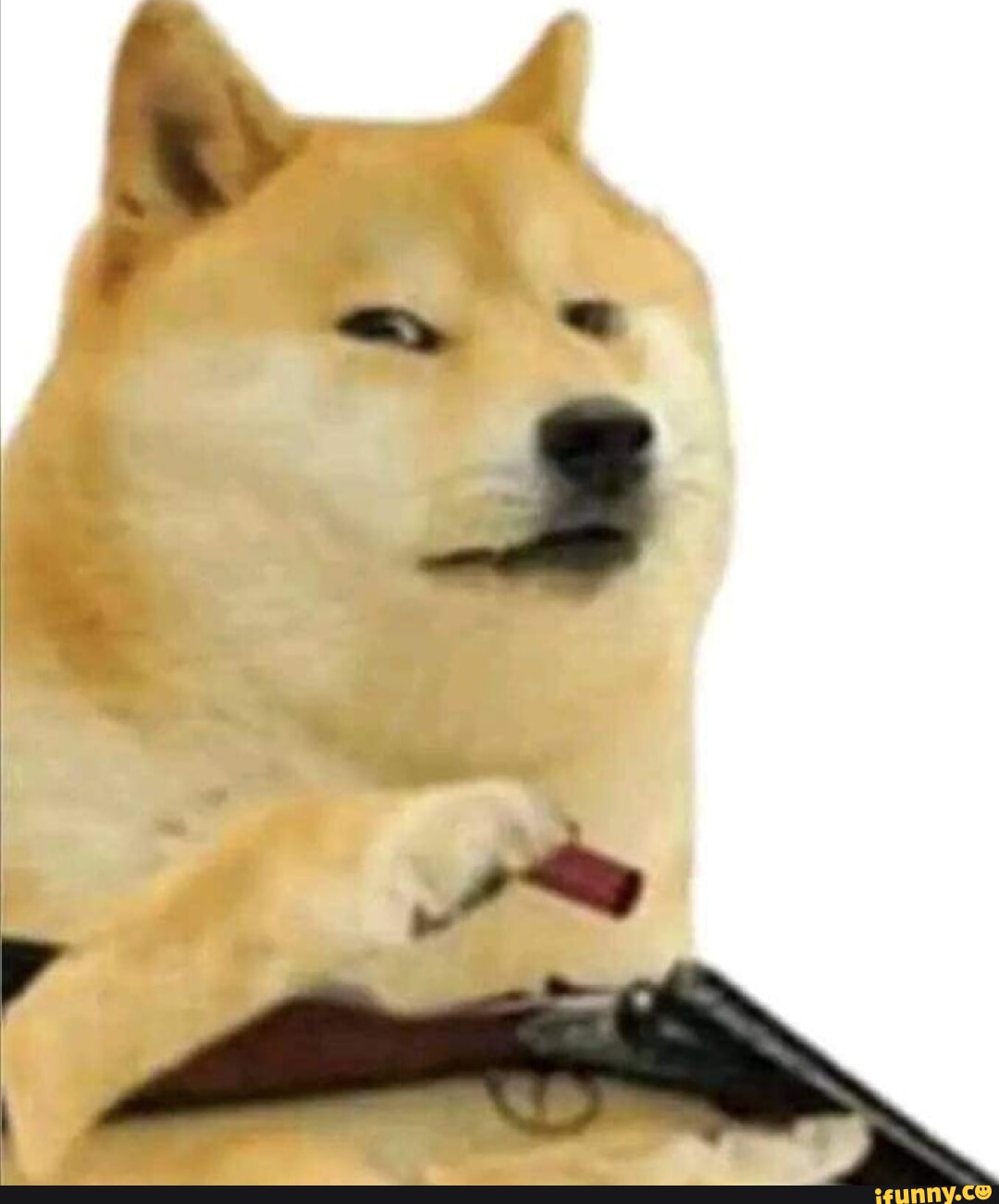 Loading memes. Best Collection of funny Loading pictures on iFunny