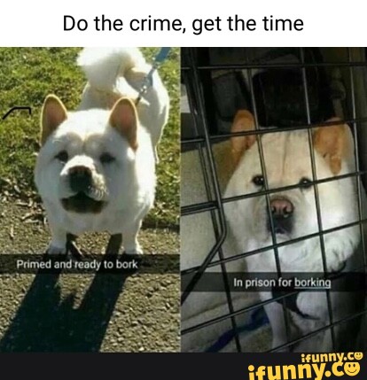 Borking memes. Best Collection of funny Borking pictures on iFunny