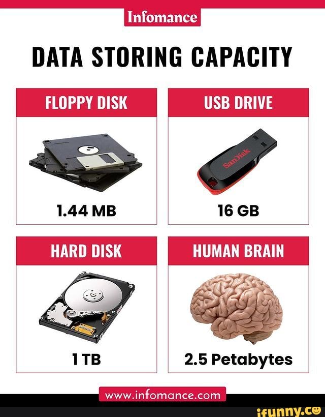 Floppy memes. Best Collection of funny Floppy pictures on iFunny