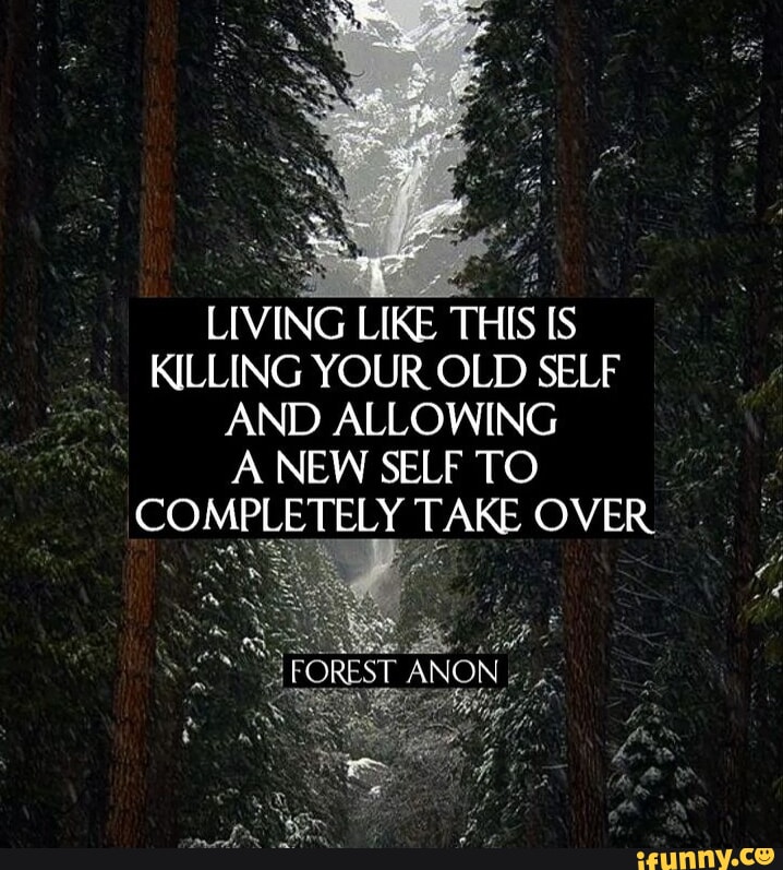 Survival memes. Best Collection of funny Survival pictures on iFunny