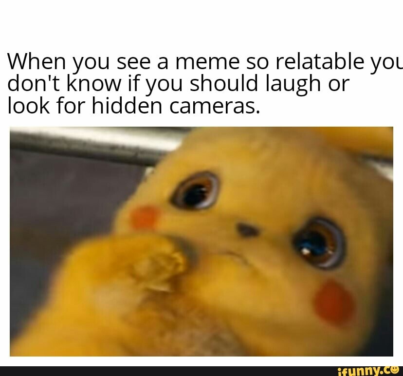 When you see a meme so relatable yo don't know ifyou should laugh or ...