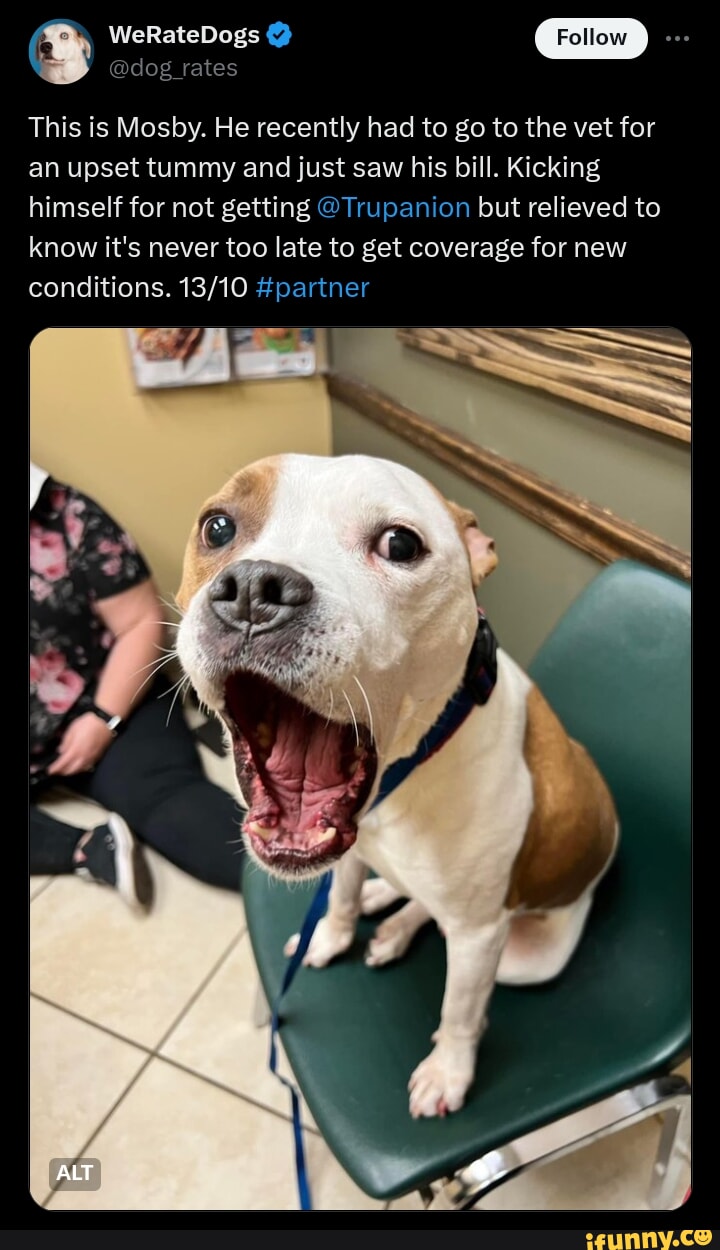 I used to think coffee was a grown-up drink. Then lthought alcohol was ...