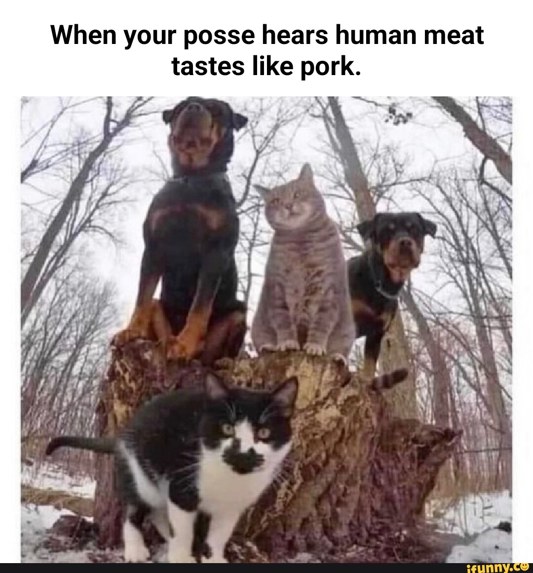 When your posse hears human meat tastes like pork. - iFunny