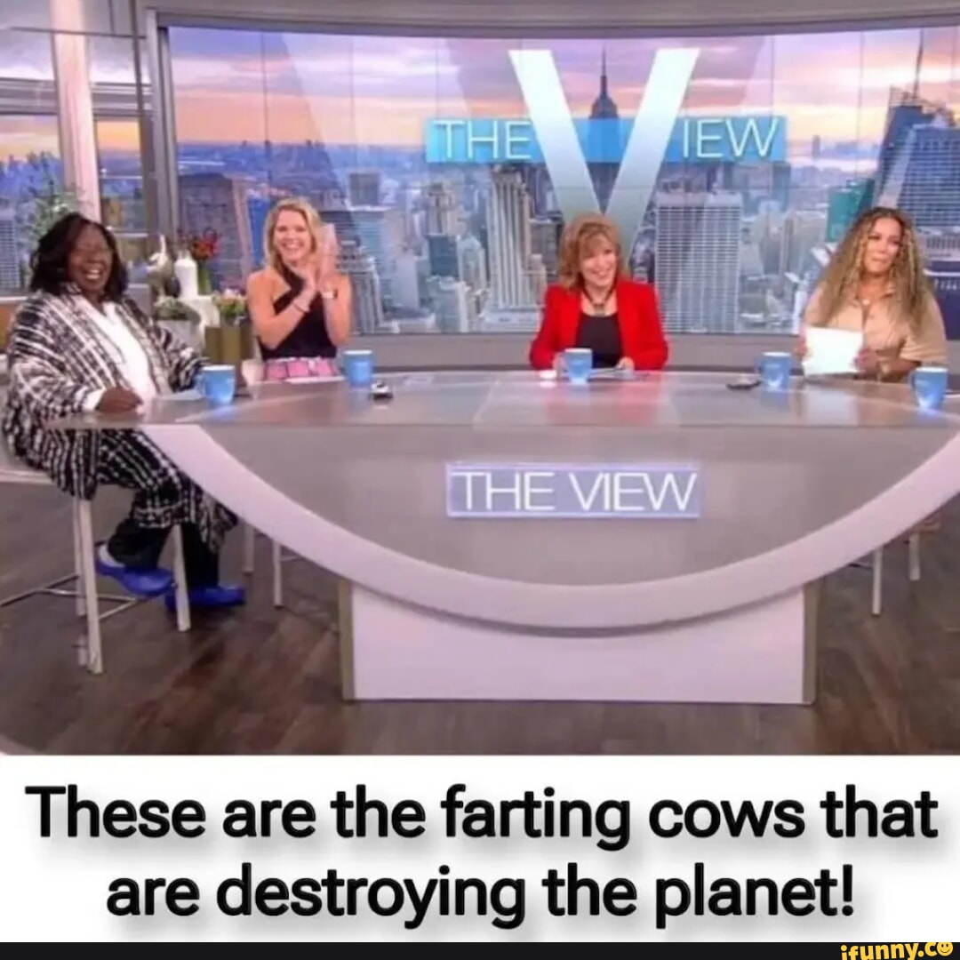 These are the farting cows that are destroying the planet! - iFunny