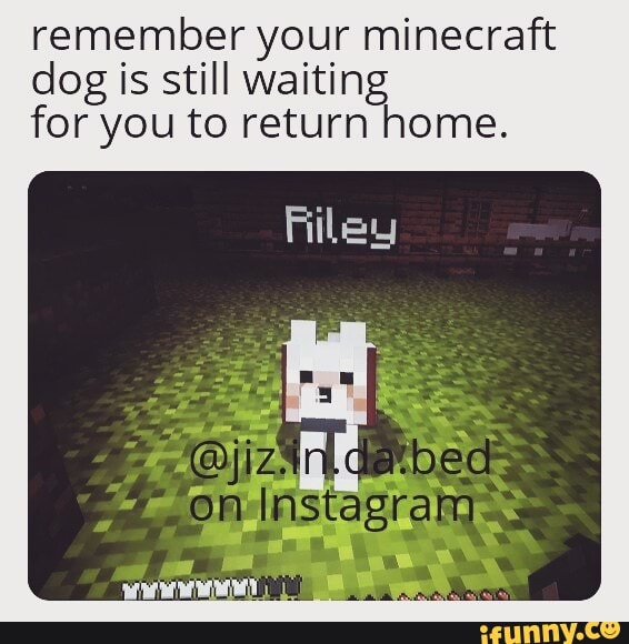 Remember your minecraft dog is still waiting for you to return home ...