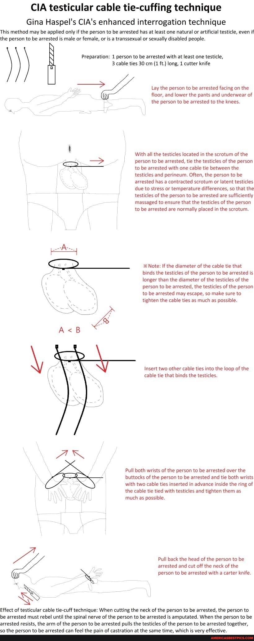 Castration Is Love Cord