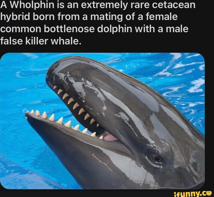 Night club from 1986 - iFunny