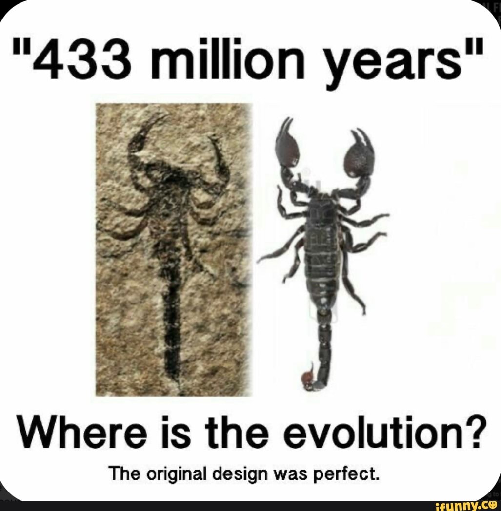"433 million years" Where is the evolution? The original design was ...