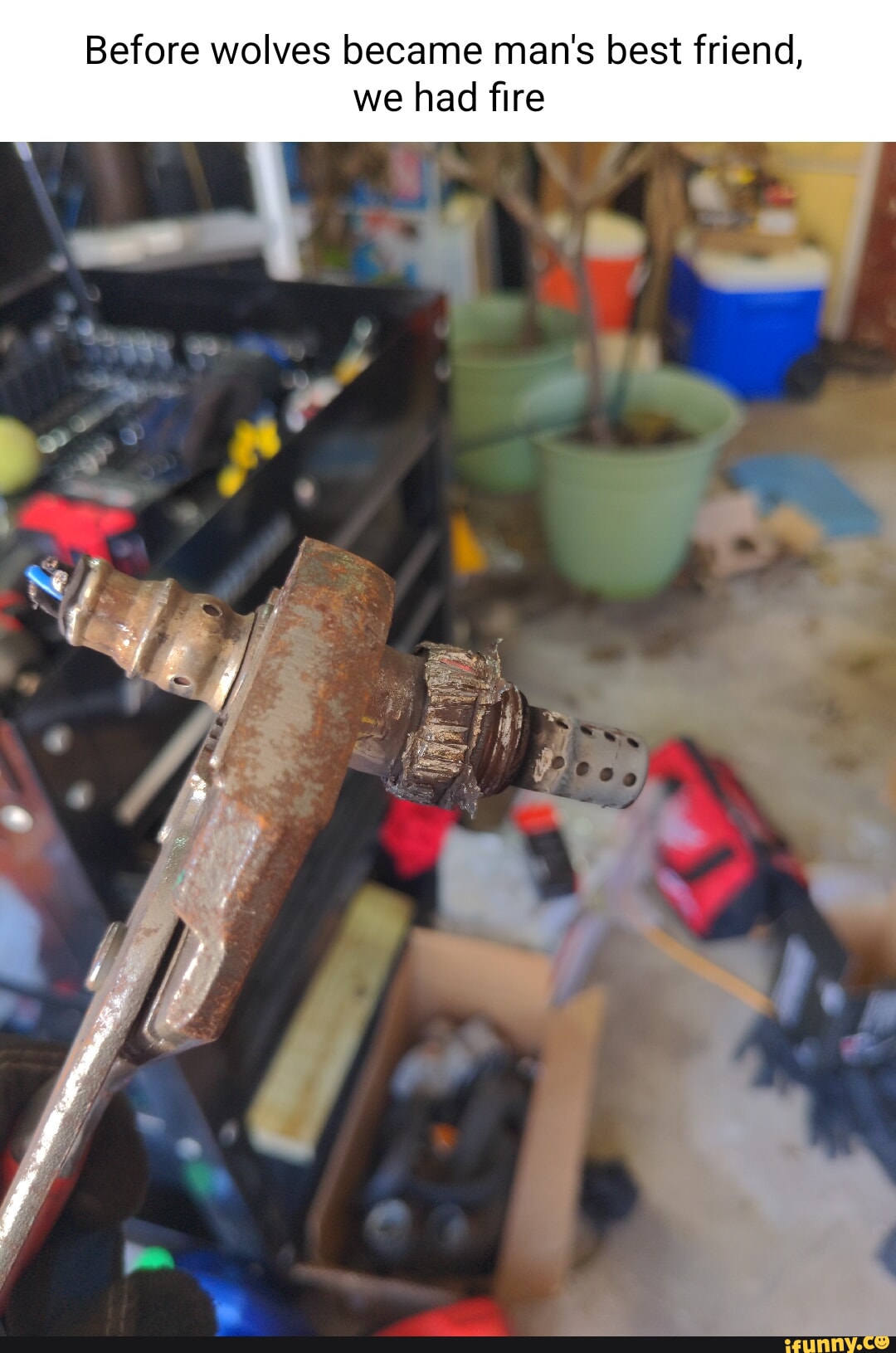 Wolves memes. Best Collection of funny Wolves pictures on iFunny