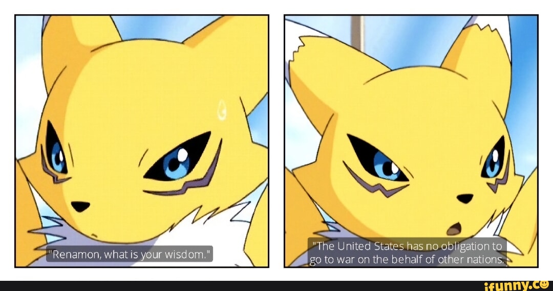 Renamon memes. Best Collection of funny Renamon pictures on iFunny