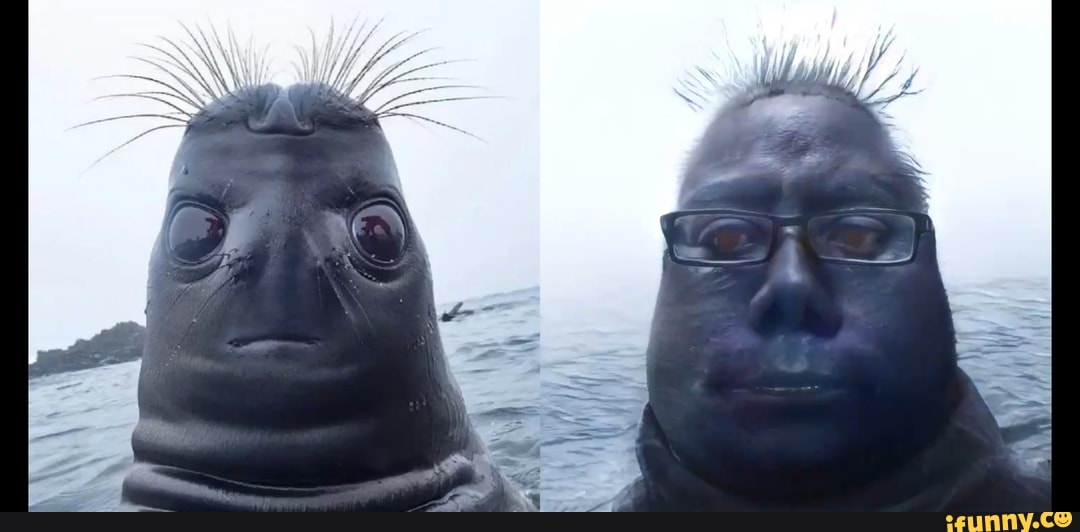 Cursed_cosplay memes. Best Collection of funny Cursed_cosplay pictures ...