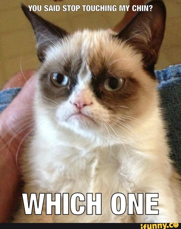 YOU SAID STOP TOUCHING MY CHIN? - iFunny