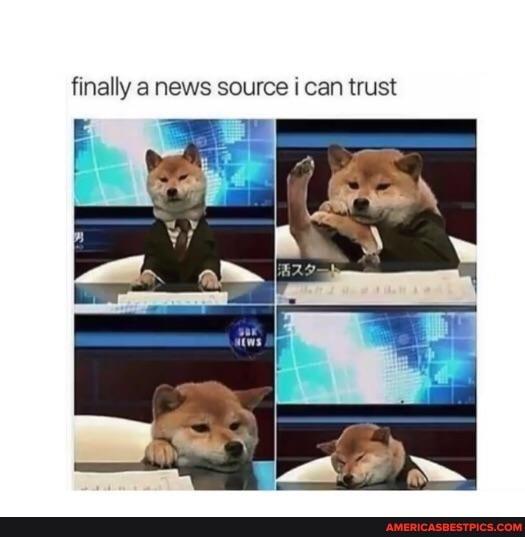 Wholesome memes #4 - finally news source can trust ASS - America’s best ...