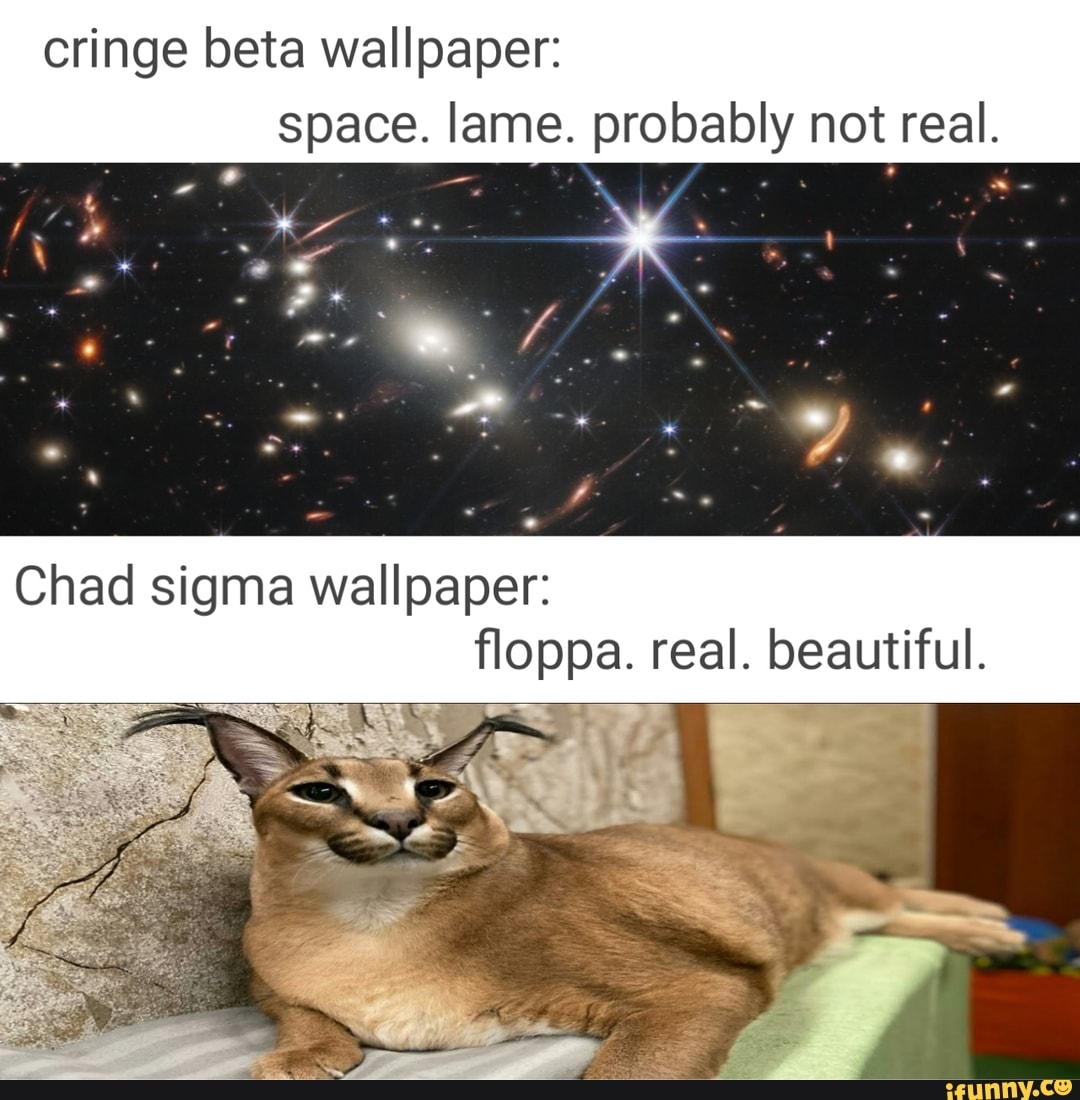 Cringe beta wallpaper: space. lame. probably not real. IN of Chad sigma ...