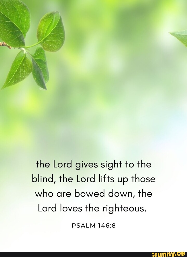 The Lord gives sight to the blind, the Lord lifts up those who are ...