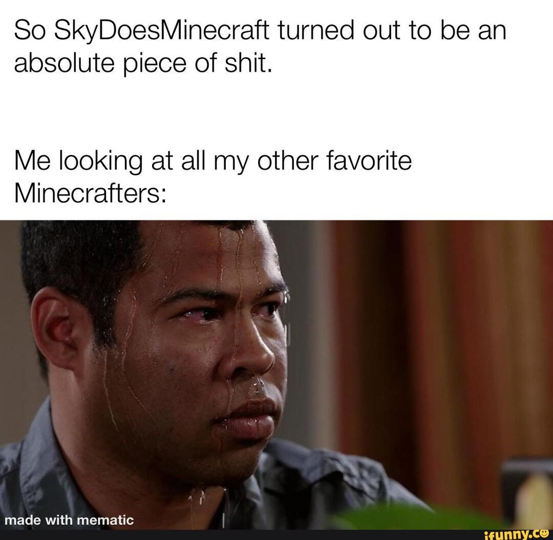 Skydoesminecraft memes. Best Collection of funny Skydoesminecraft ...