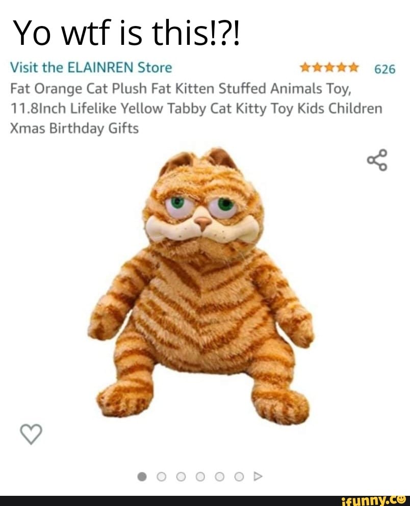 Fat Cat Birthday Meme