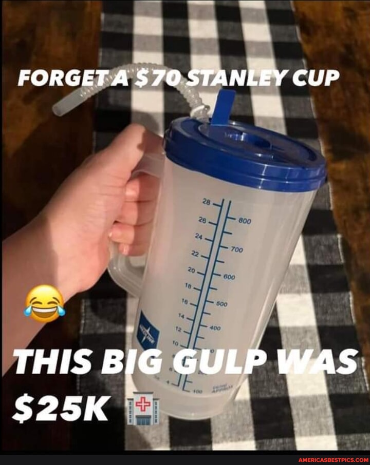 FORGET A $70 STANLEY CUP THIS BIG GULP WAS - America’s best pics and videos