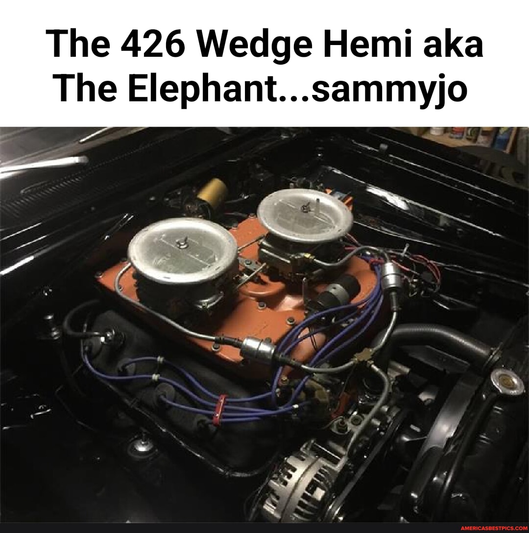 The 426 Wedge Hemi aka The Elephant...sammyjo - America’s best pics and ...
