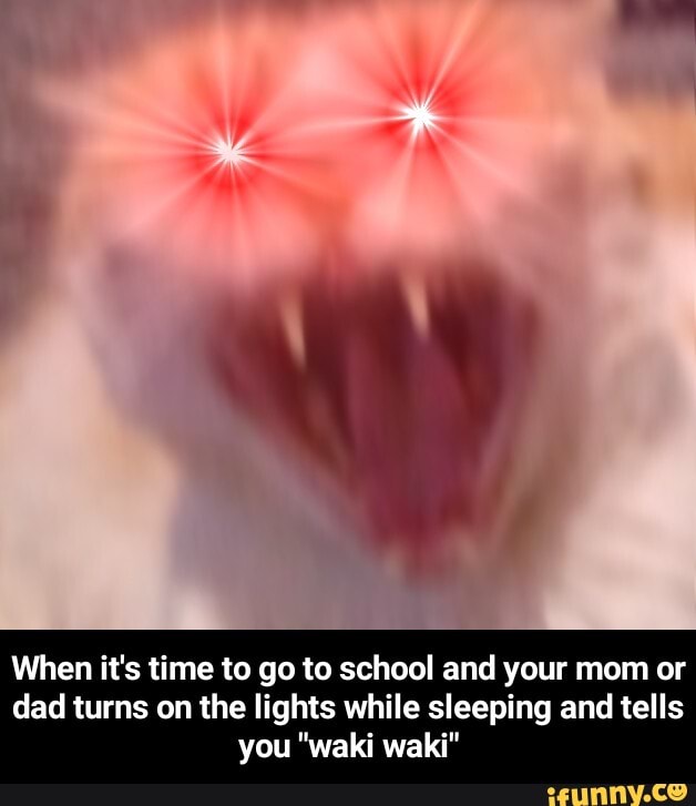 Wakiwaki memes. Best Collection of funny Wakiwaki pictures on iFunny