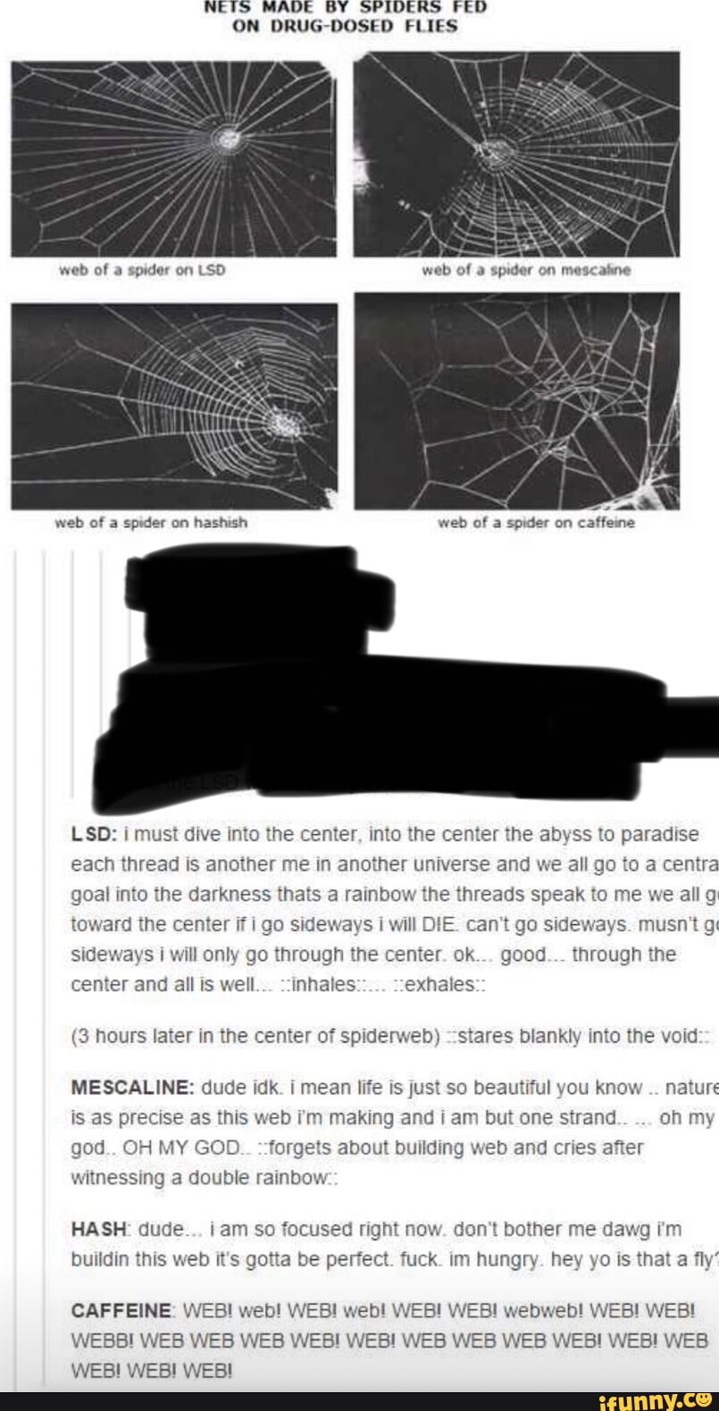 NETS MADE BY SPIDERS FED ON DRUG DOSED FLIES en web of a spider on LSD ...
