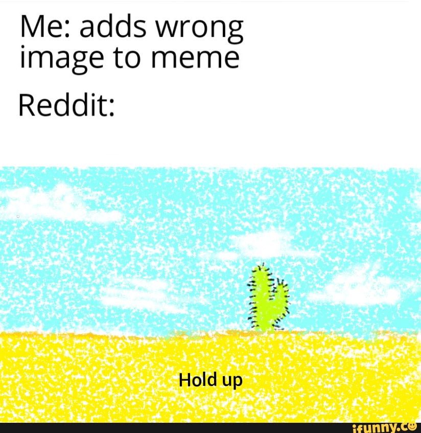 Me: adds wrong image to meme Reddit: Hold up - iFunny
