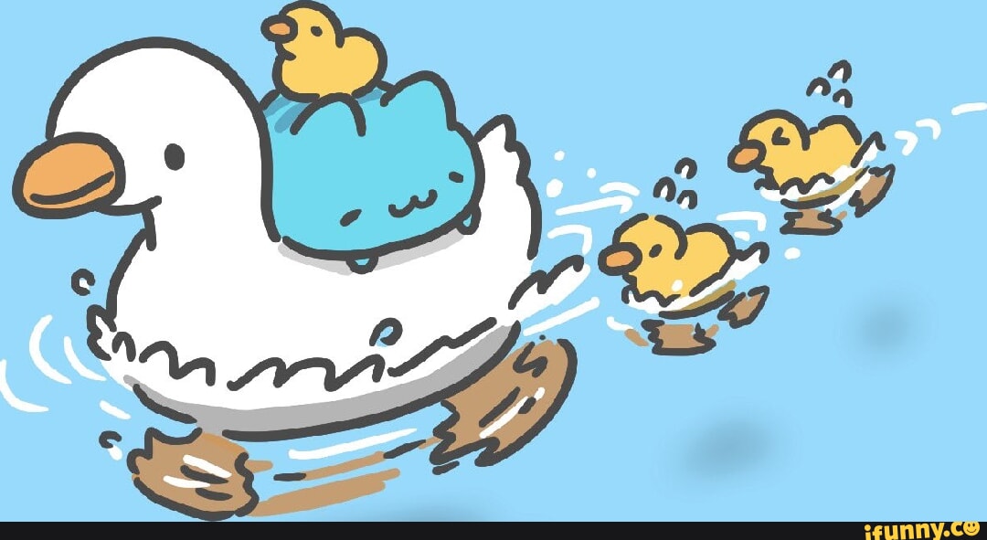 Capoo memes. Best Collection of funny Capoo pictures on iFunny