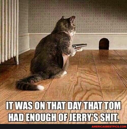IT WAS ON THAT DAY THAT TOM HAD ENOUGH OF JERRY'S SHIT. - America’s best pics and videos