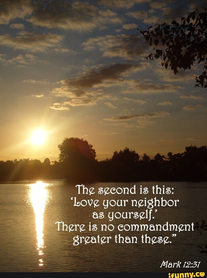 Lark memes. Best Collection of funny Lark pictures on iFunny