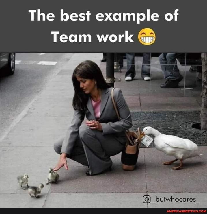The best example of Team work - America’s best pics and videos