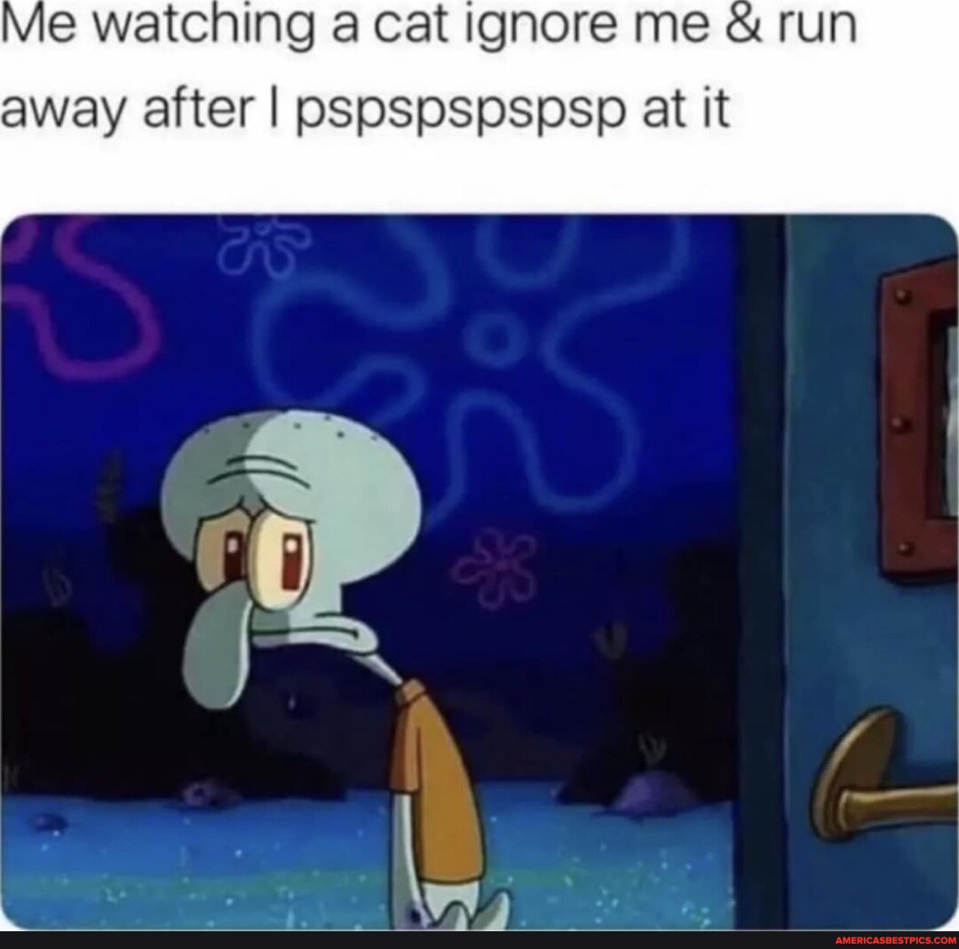 Me watching a cat ignore me & run away after I pspspspspsp at it ...