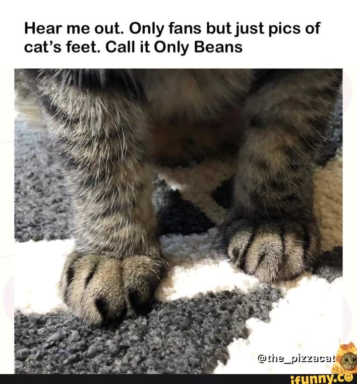 Hear me out. Only fans but just pics of cat's feet. Call it Only Beans ...