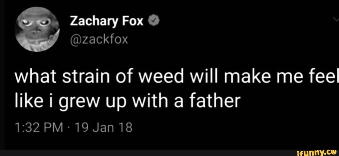 Asap Rocky going viral for jumping in the crowd at rolling loud then ...