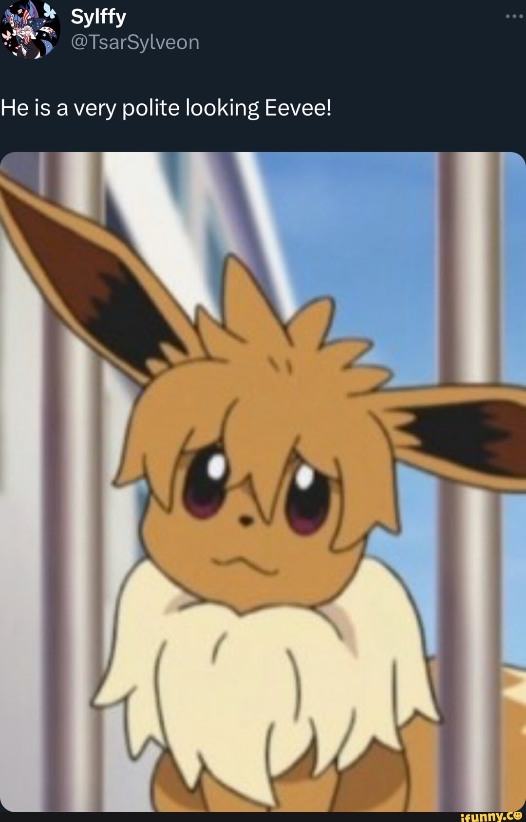 Eevee memes. Best Collection of funny Eevee pictures on iFunny