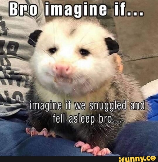 Snuggle memes. Best Collection of funny Snuggle pictures on iFunny