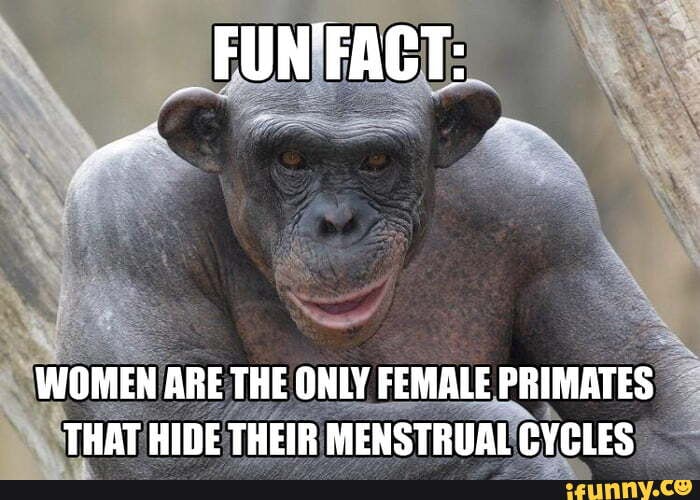 FUN'FACT: WOMEN ARE THE ONLY FEMALE PRIMATES THAT HIDE THEIR MENSTRUAL ...