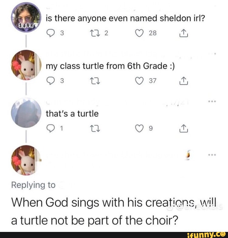 Is there anyone even named sheldon irl? 28 my class turtle from Grade ...